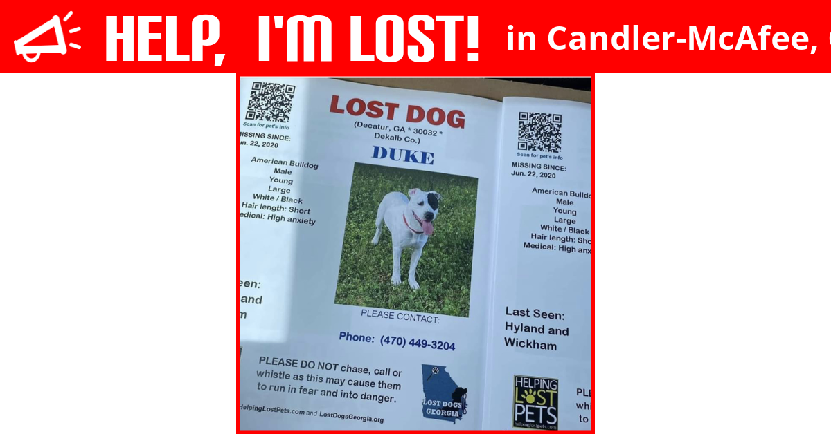 Lost Dog (Candler-McAfee, Georgia) - Duke