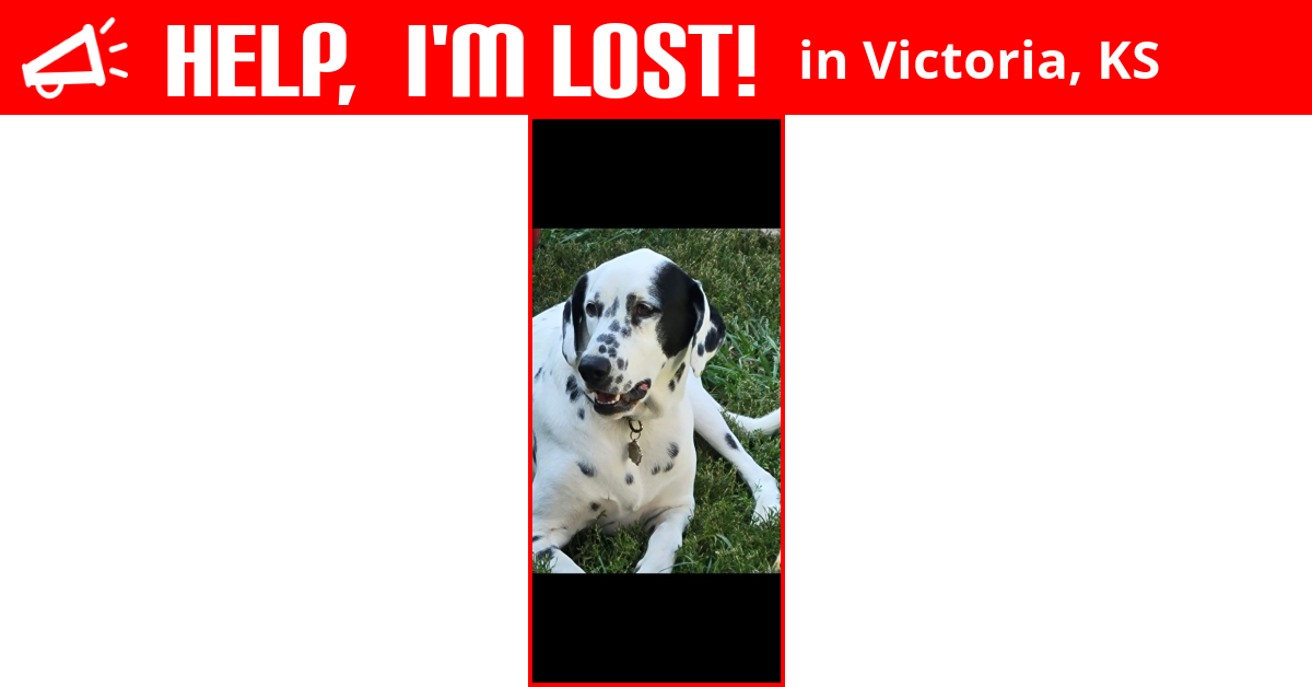 Lost Dog (Victoria, Kansas) - Keeper
