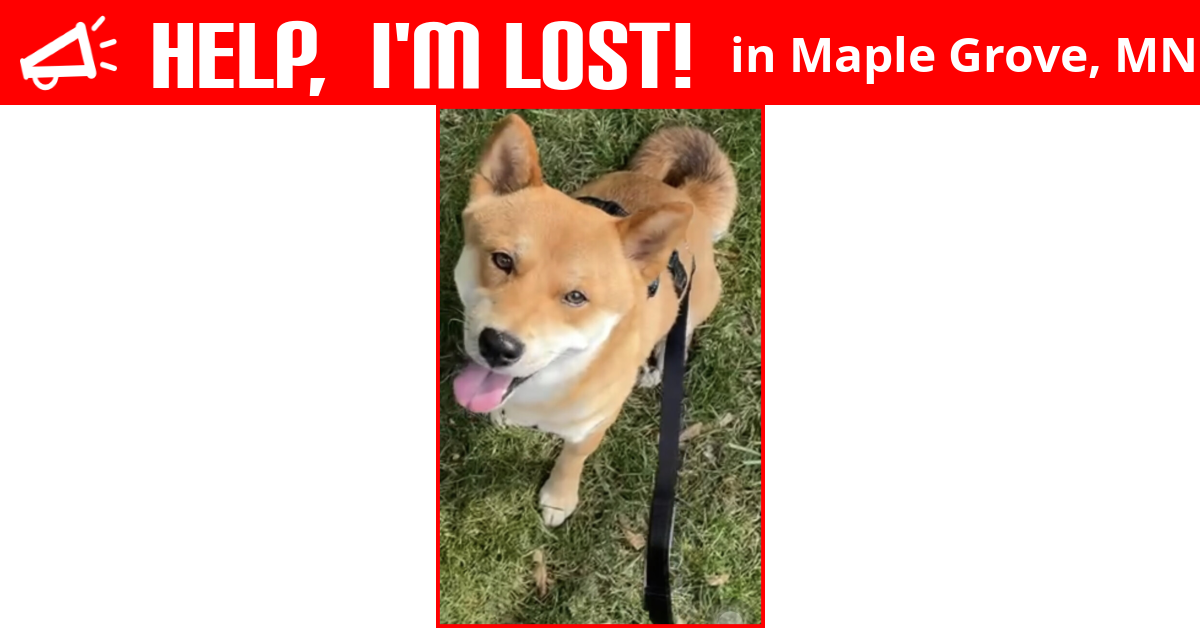 Lost Dog (Maple Grove, Minnesota) - Akamaru