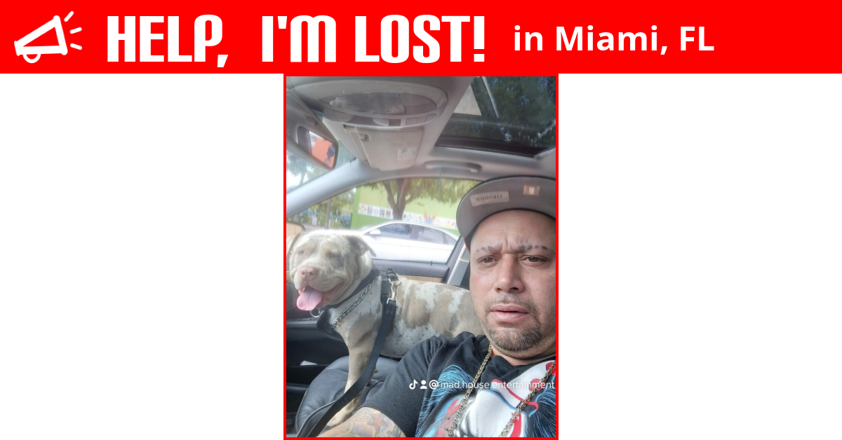 Lost Dog (Miami, Florida) - Capine