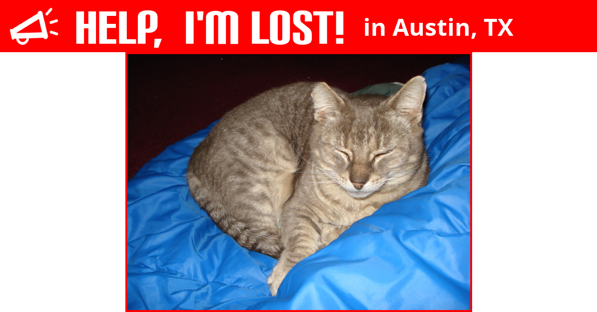 Lost Cat (Austin, Texas) - Pretty Boy