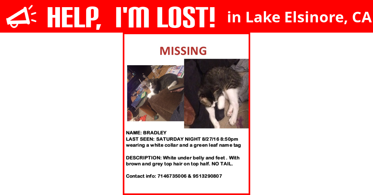 Lost Cat (Lake Elsinore, California) - Bradley