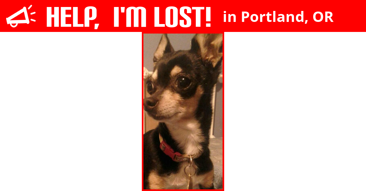 Lost Dog (Portland, Oregon) - Muneca