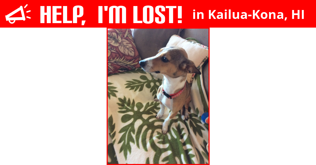 Lost Dog (Kailua-Kona, Hawaii) - Bb