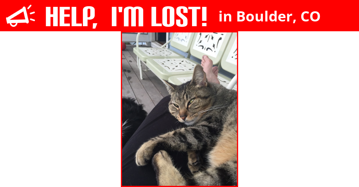 Lost Cat (Boulder, Colorado) - Miller