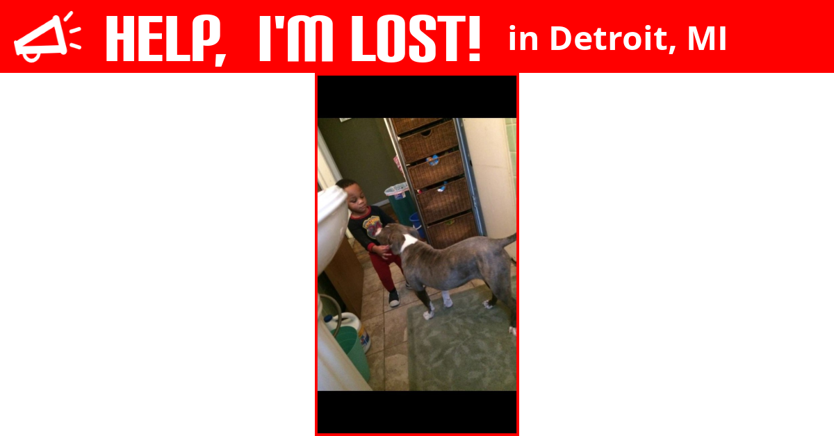 Lost Dog (Detroit, Michigan) - Princess