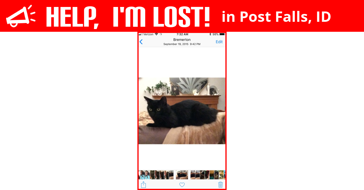 Lost Cat (Post Falls, Idaho) - Rufio
