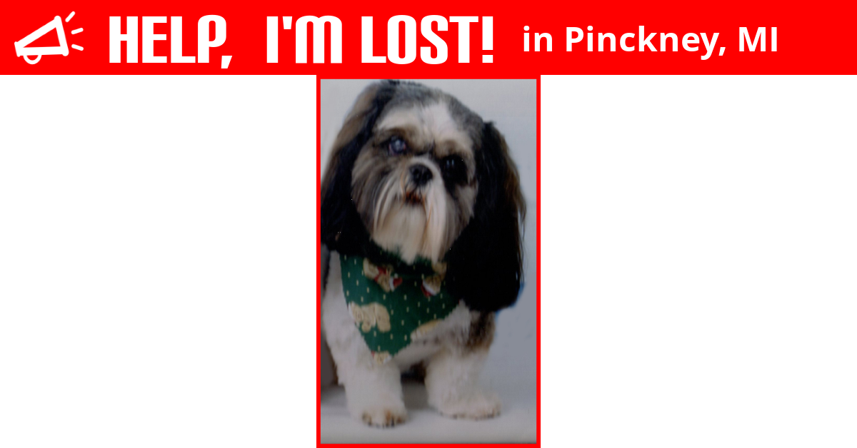 Lost Dog (Pinckney, Michigan) - Sierra