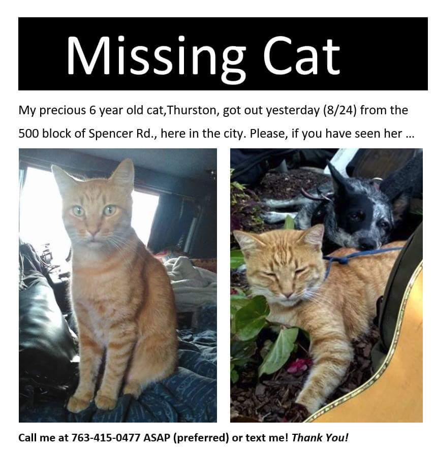 Lost Cat (Ithaca, New York) - Thurston